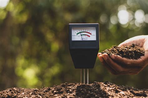 The PH Test Is Crucial To A Successful Cannabis Growing Experience D 10 Canna News