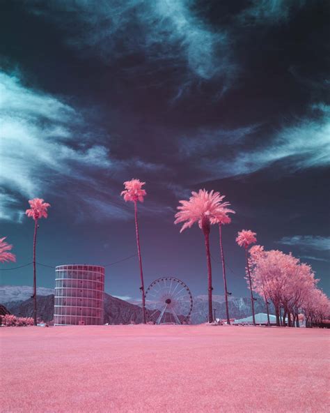 Download Infrared Desert Oasis Wallpaper