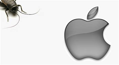 Apple Addresses OS X Security Issues With First Update Softpedia