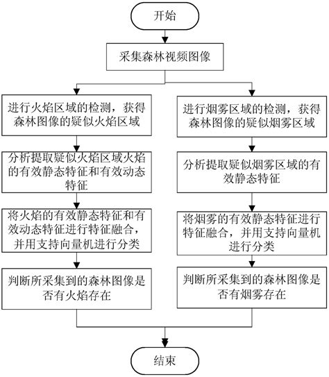 An Early Forest Fire Detection Method Based On A Video Image Eureka Patsnap