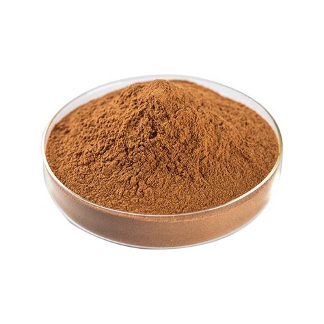 Ganoderma Lucidum Extract Manufacturer Supplier Sale