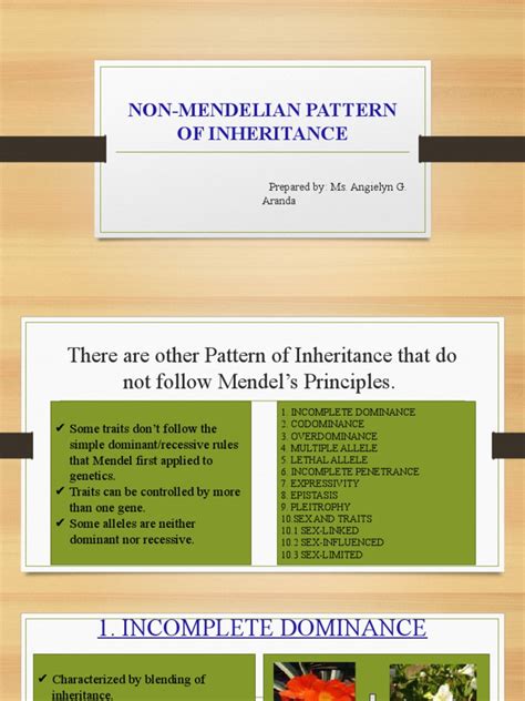Non Mendelian Genetics Or Non Mendelian Pattern Of Inheritance Pdf Dominance Genetics Allele