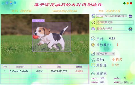 基于深度学习的犬种识别软件（yolov5清新界面版，python代码）cspdarknet53是c3吗 Csdn博客