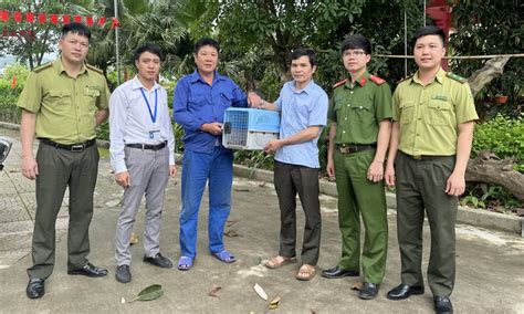 Tiếp nhận bàn giao một con cu li lớn cho Vườn Quốc gia Cúc Phương Báo Quảng Ninh điện tử