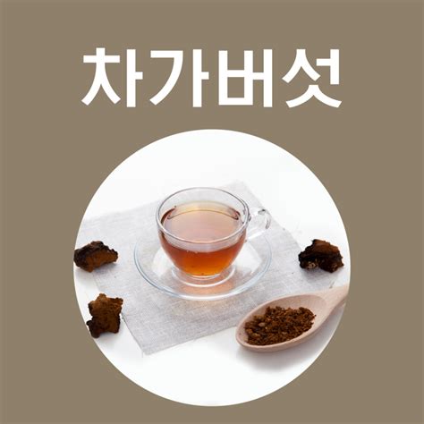 러시아차가버섯 효능 7가지 차가버섯차 당뇨에 위장에 눈에 좋은 차 눈건강 천연소화제 차가버섯 가격 네이버 블로그