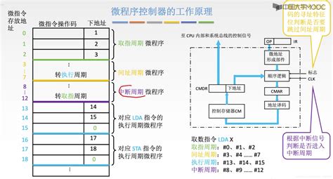 计算机组成原理——控制器的功能和工作原理互斥型微指令为什么放在同一个段中 Csdn博客