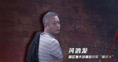《罚罪》电视剧原型人物海南黑老大——黄鸿发案昌江县黄鸿儒王某
