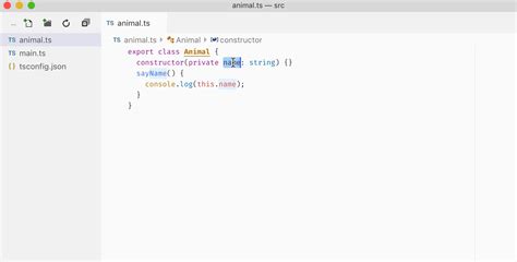 Typescript 上手教程 Csdn博客