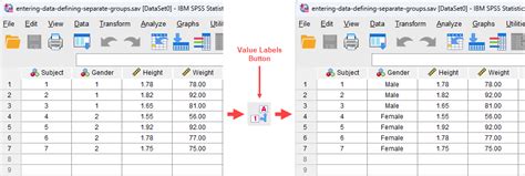 Features Data Setup In Spss Statistics Laerd Statistics An Overview Of