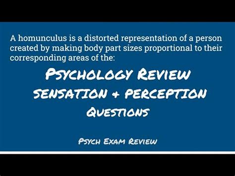 Psychology Review Questions Sensation And Perception