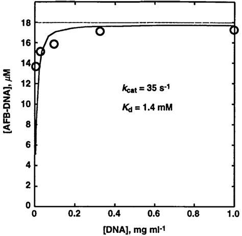 Kinetic Modeling Of Dna Adduct Yields To Obtain Kinetic Parameters Download Scientific Diagram