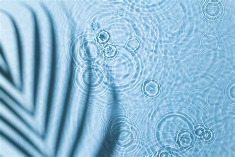 Fidal Avocats Annonce Larrivée De Sophie Dumon Kappe Fidal