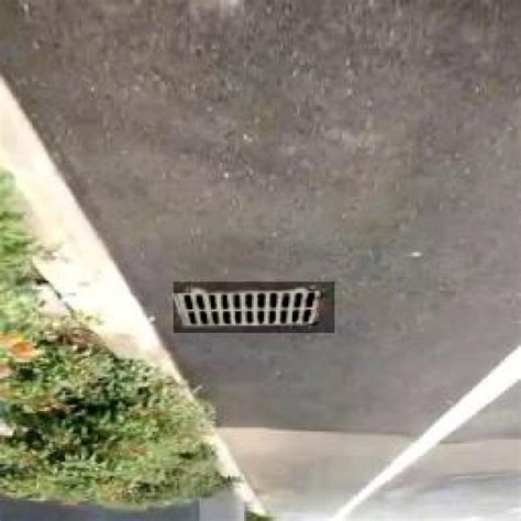 Bump Object Detection Dataset V2 2023 06 10 8 13pm By Yeotu