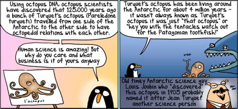 Exclusive The Octopus Sex Scandal That Rocked The Antarctic