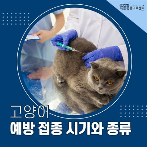 고양이 예방접종 시기와 종류 부작용 및 필수 백신을 알아보아요 네이버 블로그