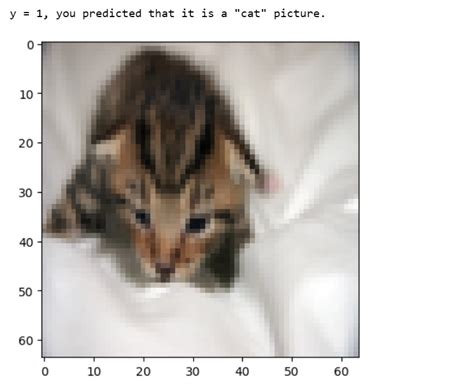 Github Pallabpalcatimageclassification