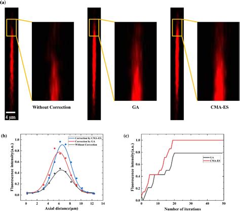 Figure 1 From Aberration Correction For Multiphoton Microscopy Using Covariance Matrix