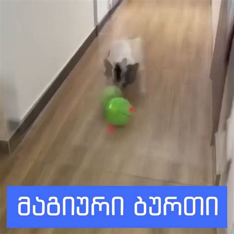 სანამ დარჩა 🎅 გახადეთ თქვენი სახლი განსაკუთრებული ამ ახალი წლისთვის