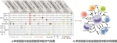 玩转单细胞高级分析 细胞通讯分析篇 知乎