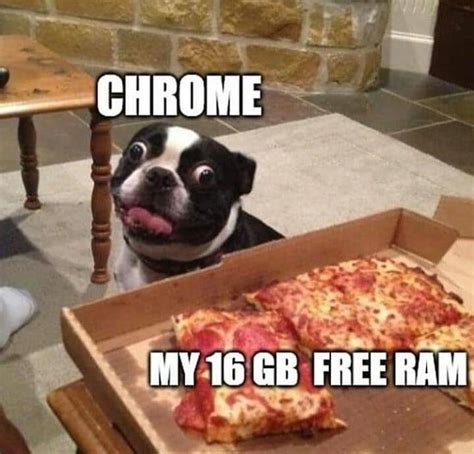 Thecolorofprogramming Programmerlife Programmering Programmermemes Programmerlifestyle