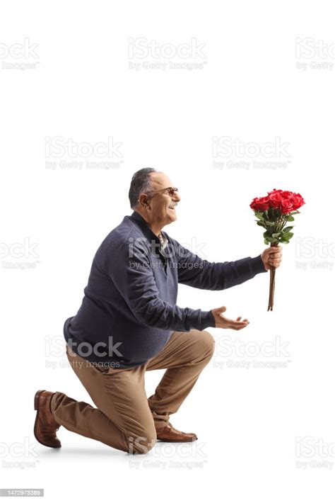 빨간 장미 한 송이를 들고 무릎을 꿇고 있는 성숙한 남자의 전체 길이 프로필 사진 60 64세에 대한 스톡 사진 및 기타 이미지 60 64세 감정 근육질 남자
