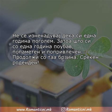 Роденденски пораки 9 Rodendenski Poraki на Романтични мк