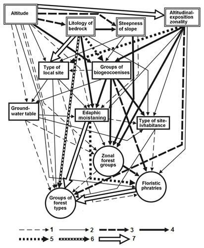 general information statistical model of geo component interrelations