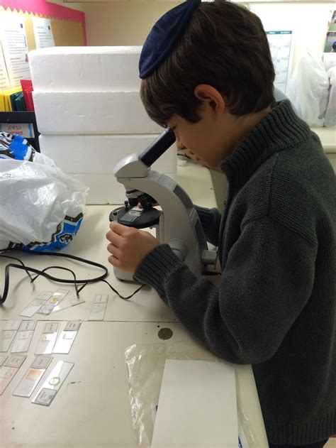 6th Grade Using Microscopes