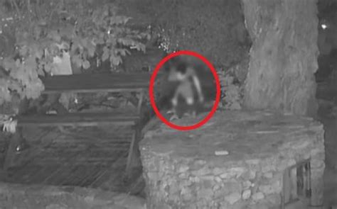 비비탄 난사 개 죽인 군인 부모 피해자 집 찍고 너희 다 죽었어