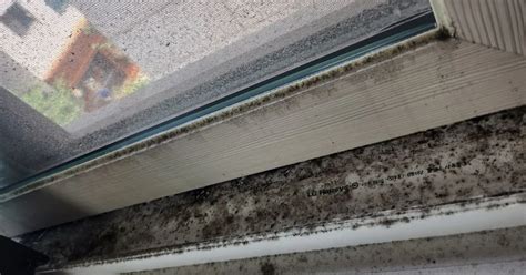 곰팡이가 엄청 심했는데 진짜 깔끔하게 잘 해주셨어요 추가금도 합리적으로 내주셔서 감사했습니다 숨고 숨은고수