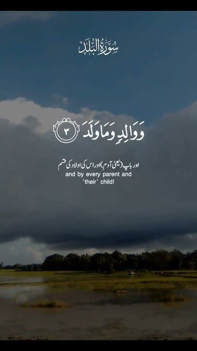 কুরাআন শুনলে মনে শান্তি পাওয়া যায় Youtube Viralvideo Quran Youtube