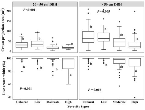 Comparison Of Field Measured Horizontal Crown Metrics Crown Projection Download Scientific