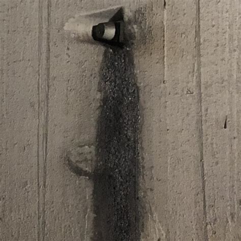 Github Jiwenjgraduation Project Multi Objective Detection And Instance Segmentation Of