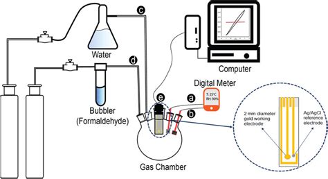 Schematic Diagram Of The Experimental Setup For The Detection Of