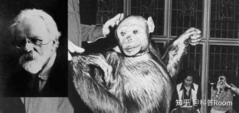 生殖隔离有多可怕？人类和动物存在生殖隔离吗？揭露真相！ 知乎
