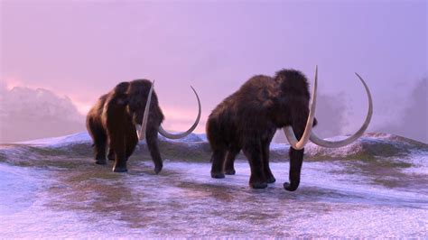 Un Mamut Volverá A La Vida En 2027 Tras Miles De Años En Extinción Viajar