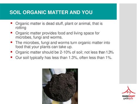 Pdf Making Biochar Fertilizer Warm Heart Worldwide
