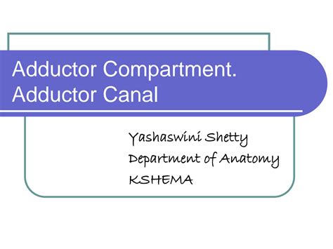 Solution Adductor Compartment Adductor Canal Studypool