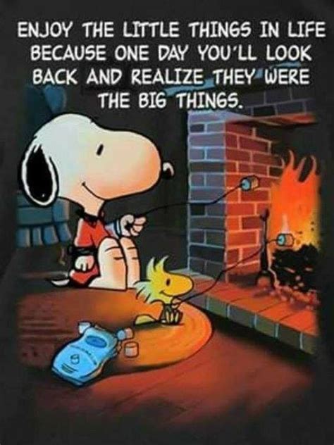 Pin By Lynetta Nausbaum On Humor Snoopy And Woodstock Funny