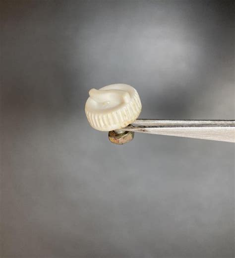 Basic Proportionality Theorem Thales Theorem Tinkercad