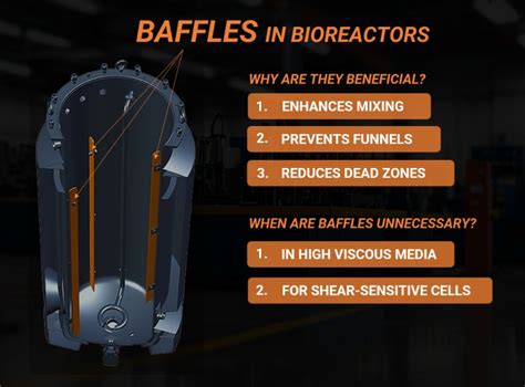 Bioreactors Bioprocessing Fermentation Engineering Biotechnology Mixing Baffles