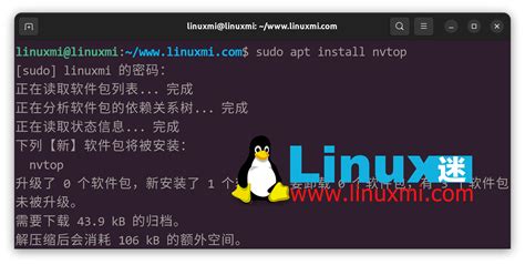 Nvtop 出色的 Linux 任务监视器 Linux迷