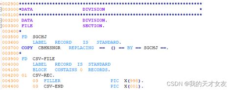 Cobol语言简介 Csdn博客 Cobol语言简介 Csdn博客