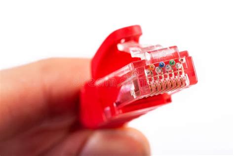 P C RJ Crimped Red Ethernet Modular Connector Unshielded Twisted Pair UTP Internet Cable