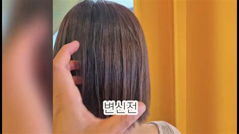 서울 염색탈색 맛집 베이바이허슬기 서울숲 리뷰 Youtube