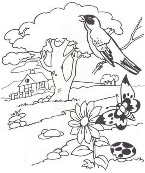 49 Desenhos Da Natureza Para Colorir Em Casa E Se Divertir