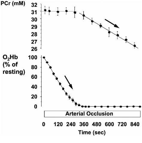 Figure 2 From Near Infrared Spectroscopyimaging For Monitoring Muscle Oxygenation And Oxidative
