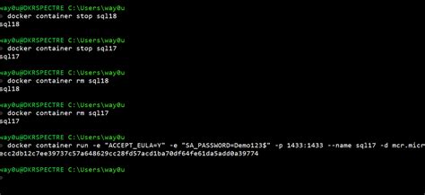 stairway to database containers level 2 persisting storage in containers sqlservercentral