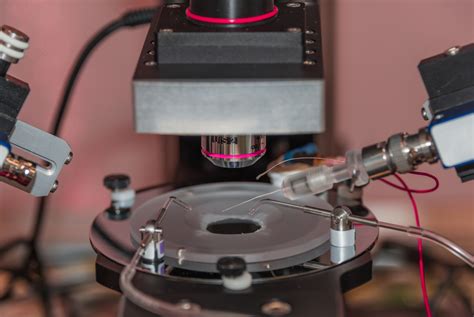 Neuroscience Optogenetics Ex Vivoin Vitro Mightex Stimulation And