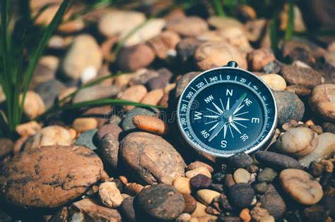 Travel Of Tourists With Compass Compass Of Tourists On Forest Stock